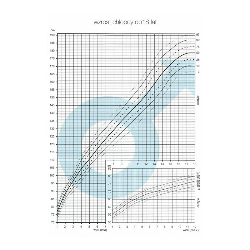 Siatka centylowa chłopcy - MedicShop - Medicshop.pl